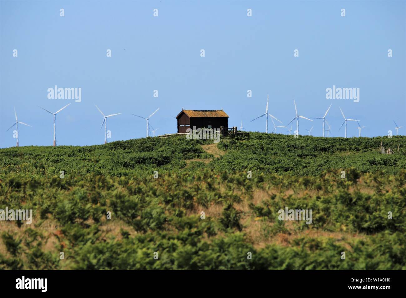Wind turbines in morecambe bay hi-res stock photography and images - Alamy