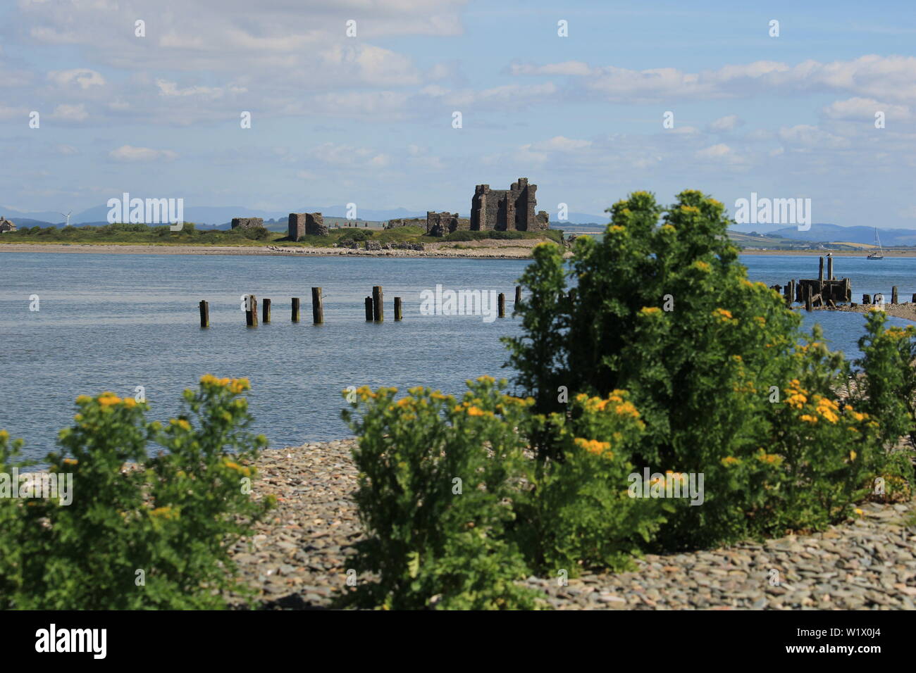 Piel Island and Piel Castle viewed from South Walney Nature Reserve ...