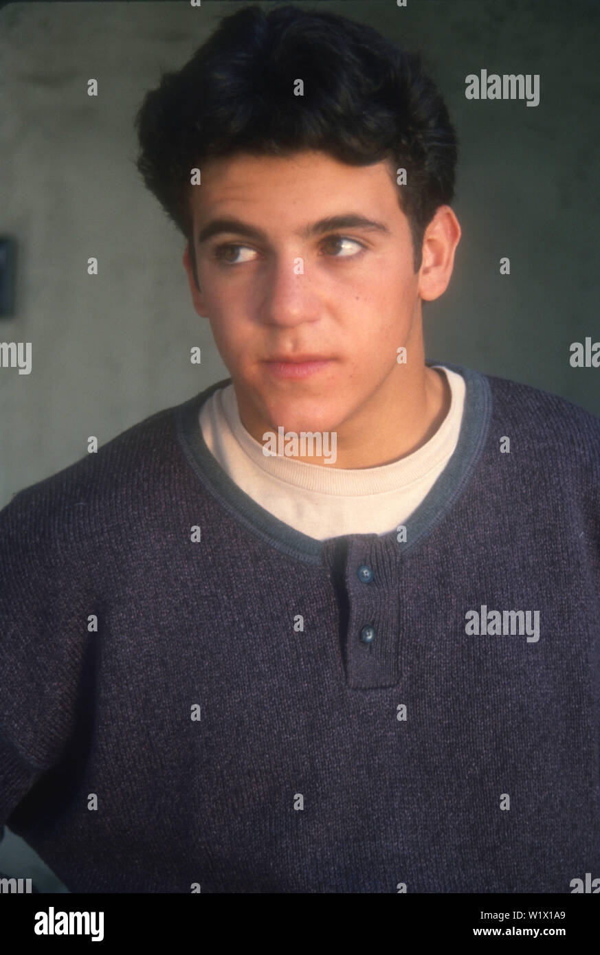 Los Angeles, California, USA 13th September 1994 (Exclusive) Actor Fred ...