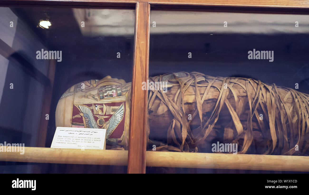 Egyptian mummy in museum of antiquities hi-res stock photography and ...