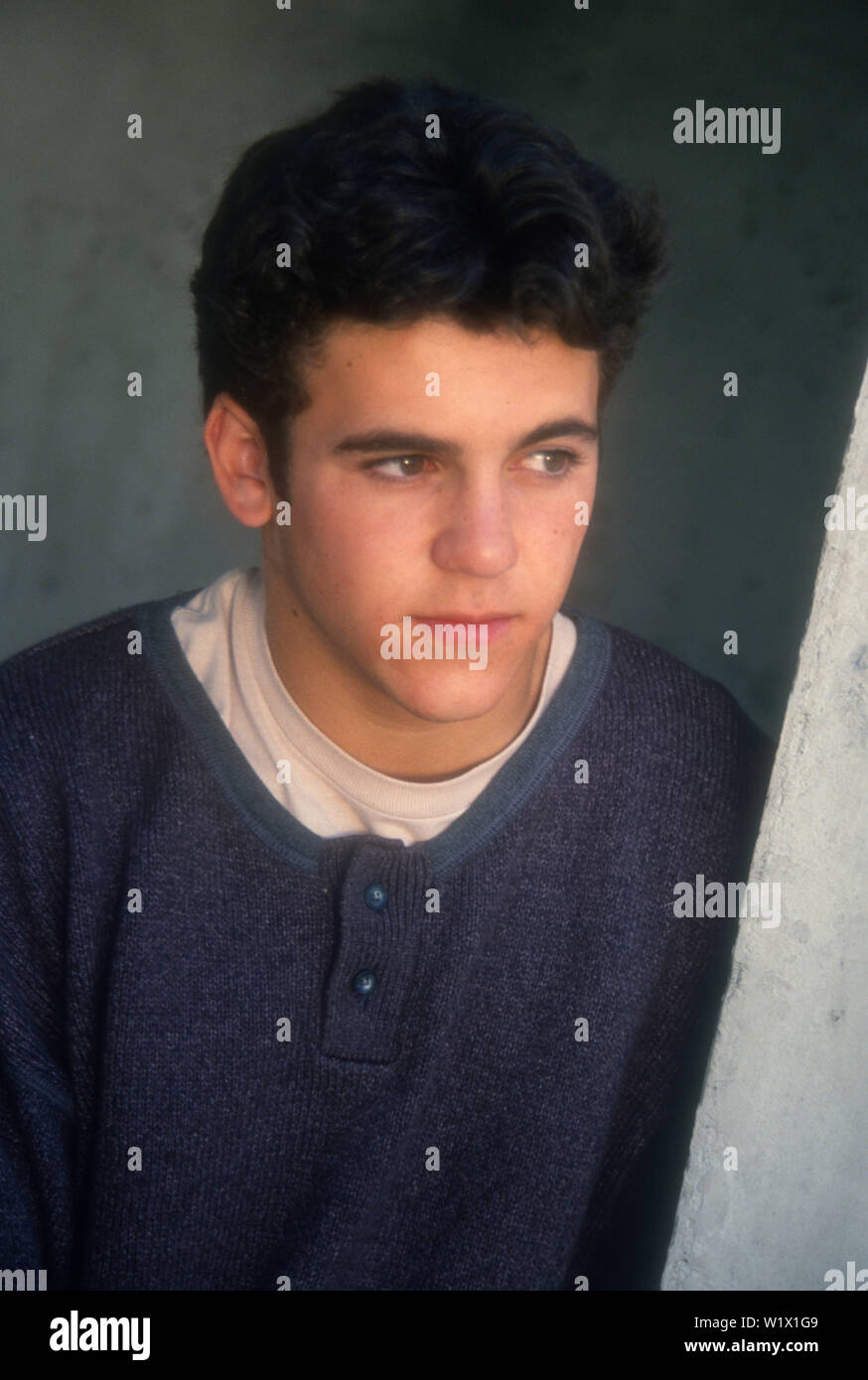 Los Angeles, California, USA 13th September 1994 (Exclusive) Actor Fred ...