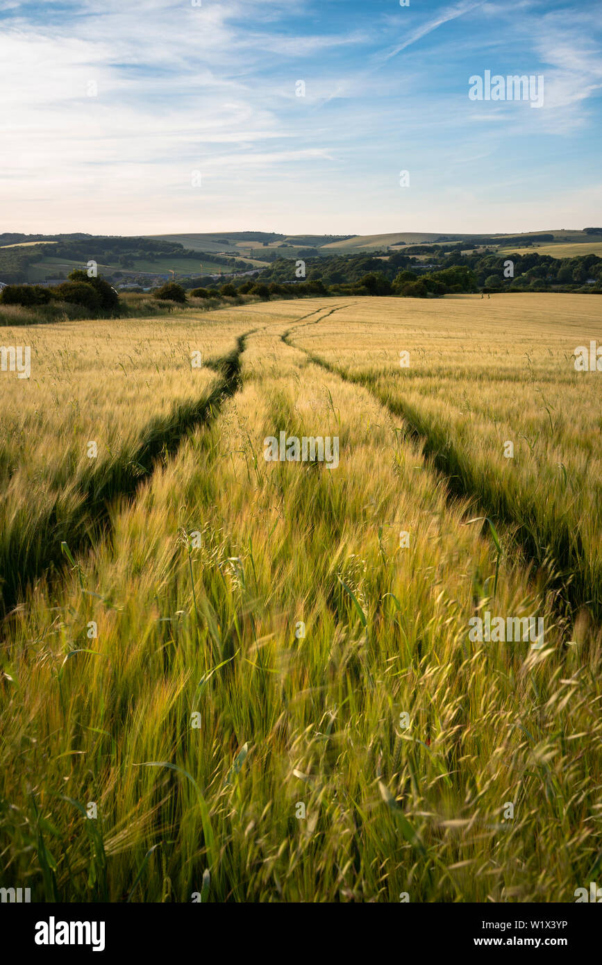 Beautiful Summer landscape of agricultural fields in English ...