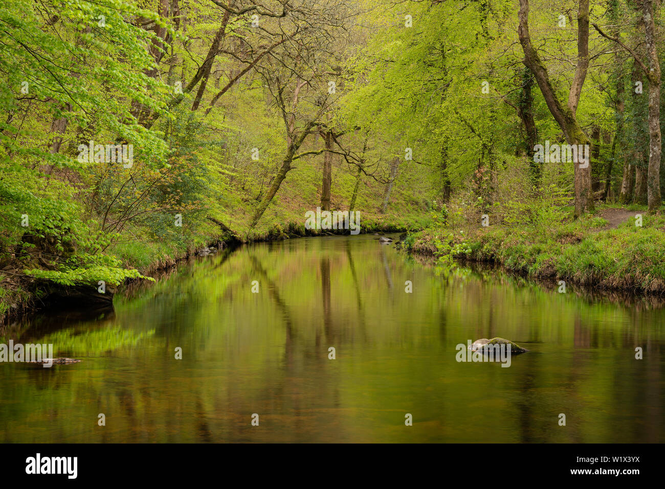 Beautiful Spring landscape image of River Teign flowing through lush ...
