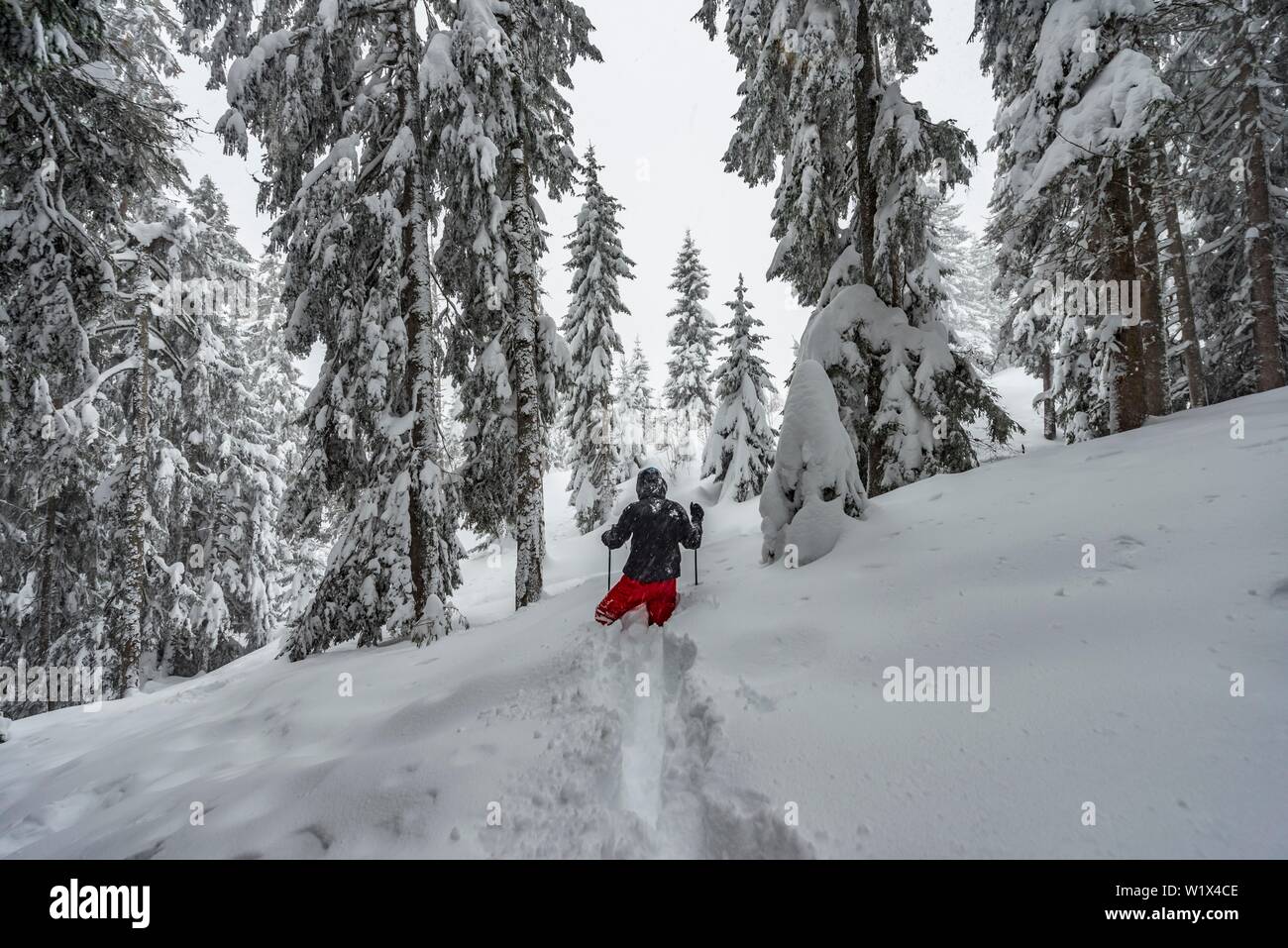 Man running through the snow hi-res stock photography and images - Alamy