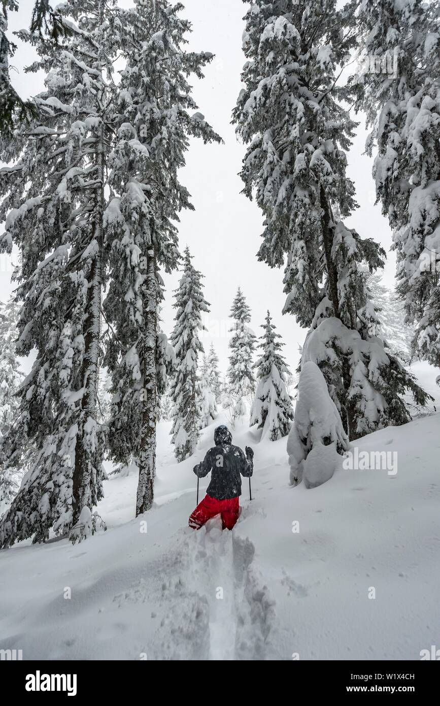 Young man running through deep snow, hiking in winter, deep snow in the ...