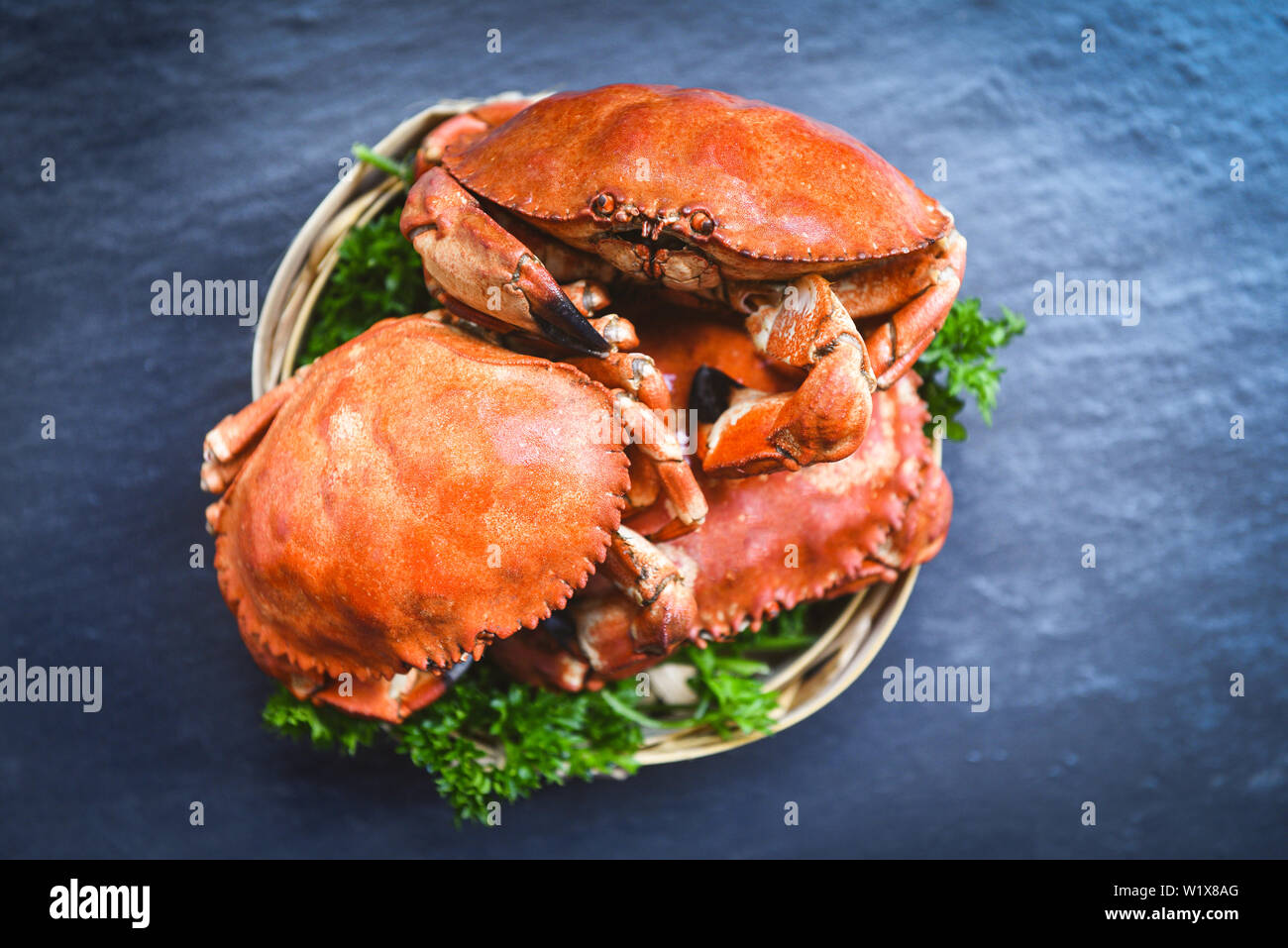 Red stone crabs hi-res stock photography and images - Alamy