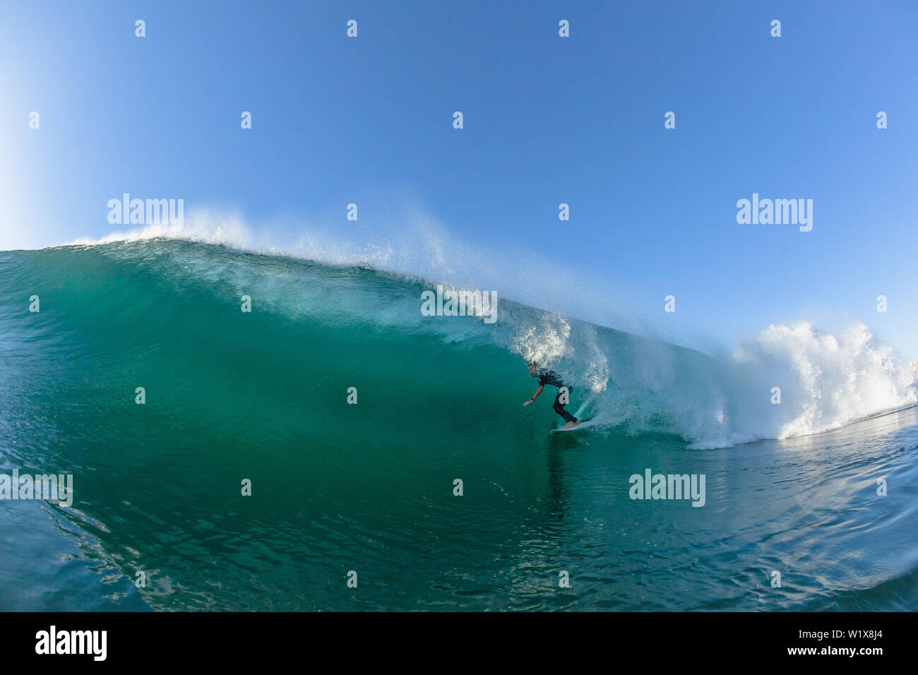Surfing surfer Michael Dunphy tube rides hollow ocean wave closeup ...
