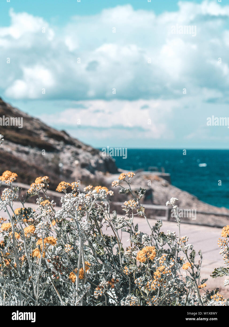 Typical for the island of mallorca hi-res stock photography and images ...