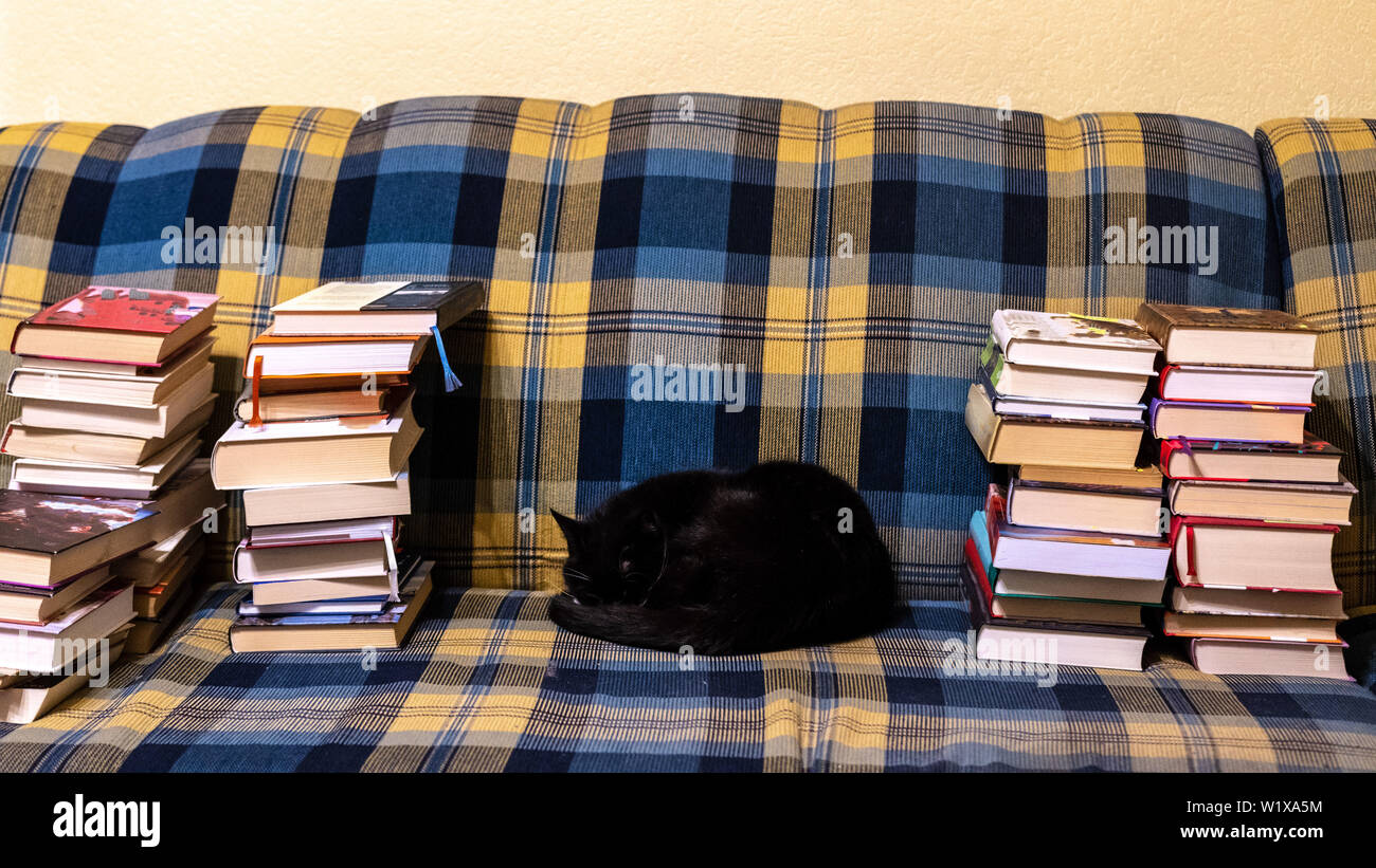 Black checkered tail hi-res stock photography and images - Alamy