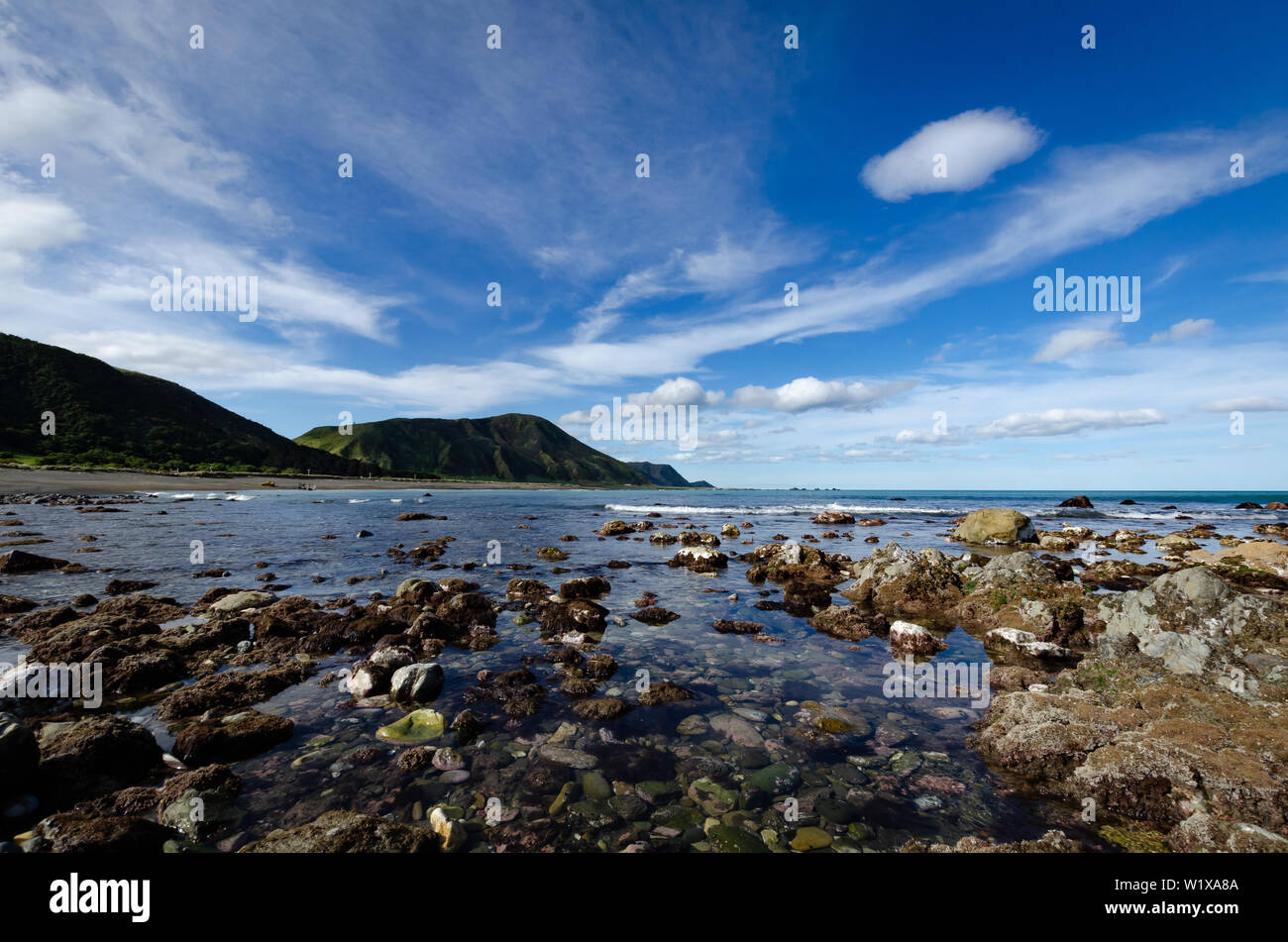 Rocks on shore and headland, Tora, east coast, Wairarapa, North Island ...