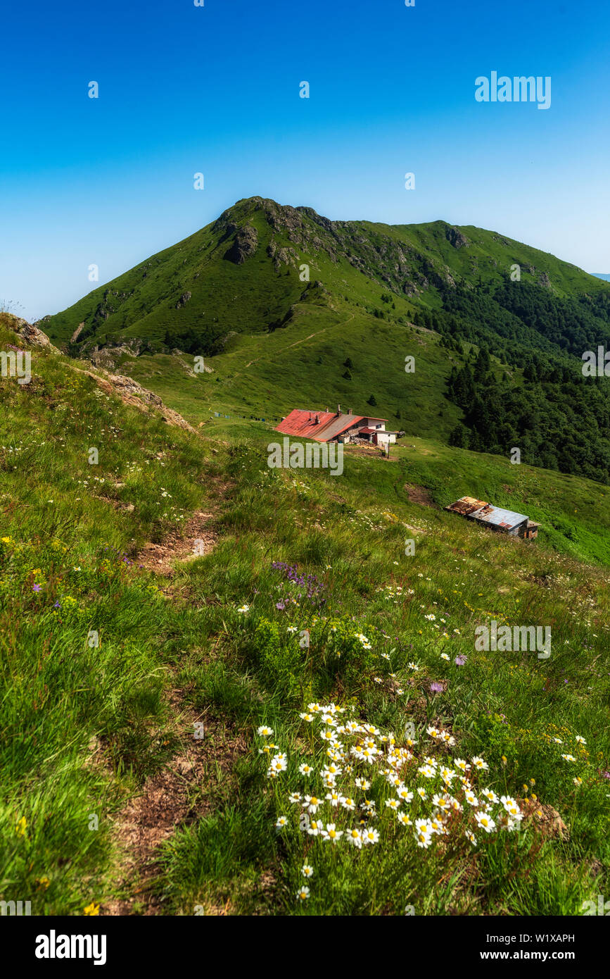 Idyllic landscape in the Old mountain, Central Balkan national park in ...