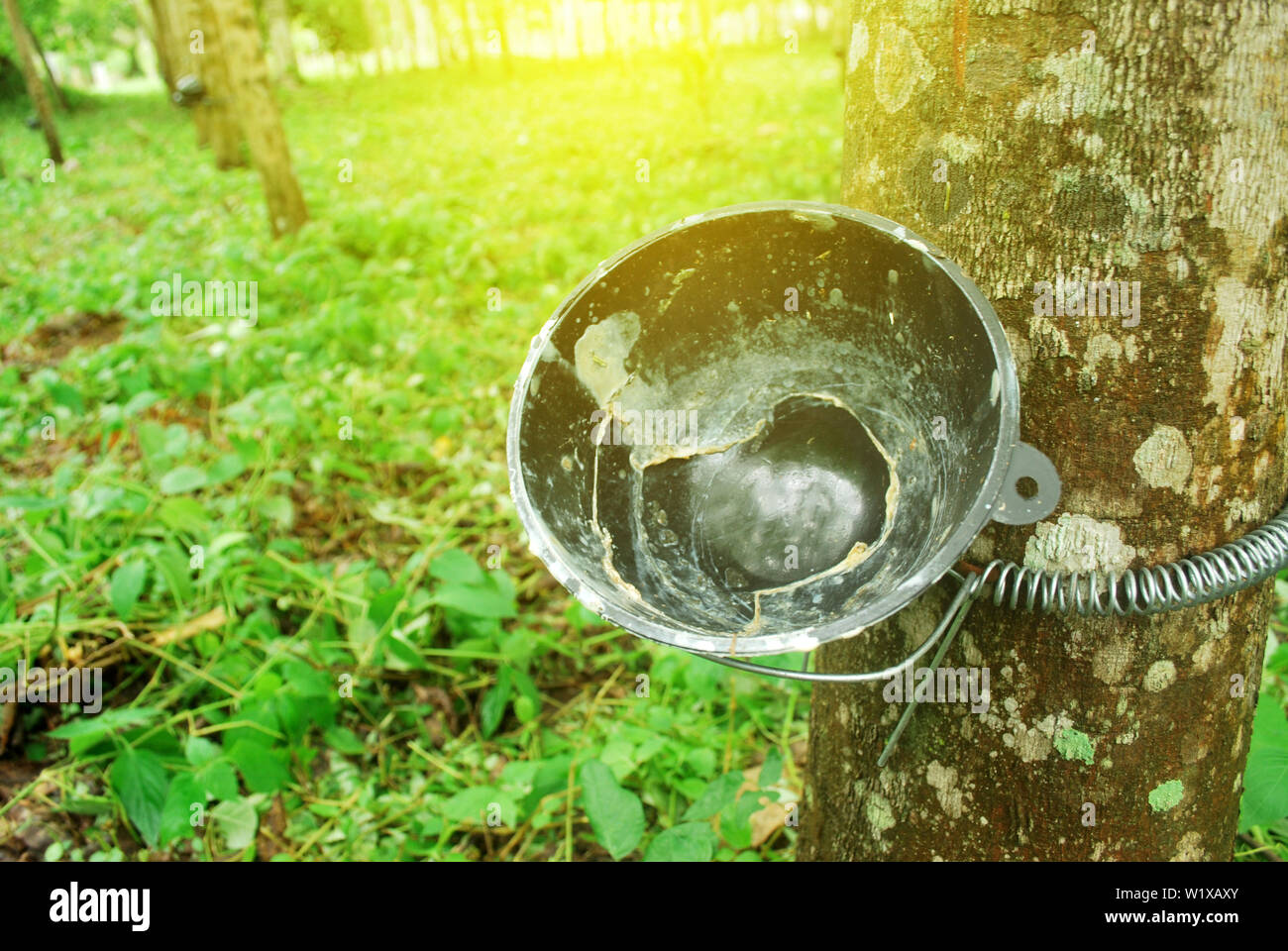 Rubber Tyre Production High Resolution Stock Photography and Images - Alamy