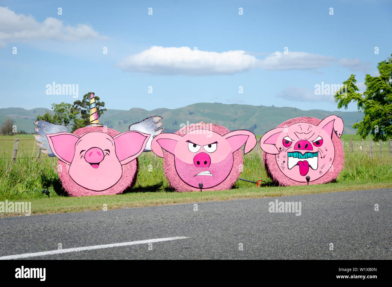 Pink pigs made from round hay bales, near Carterton, Wairarapa, North ...