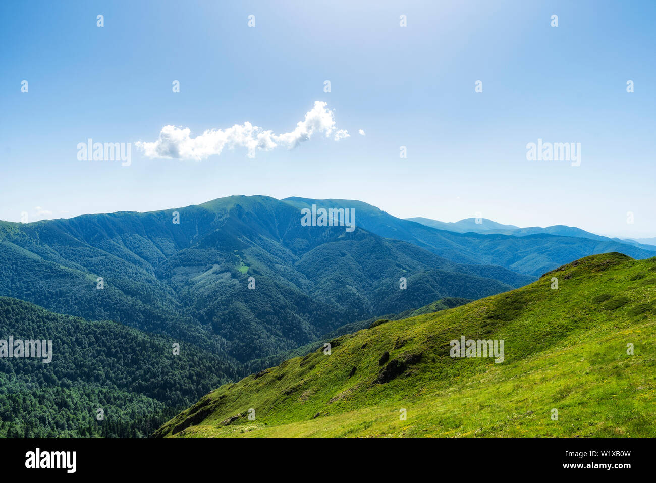 Panoramic morning scene, beauty summer mountain landscape, attractive ...