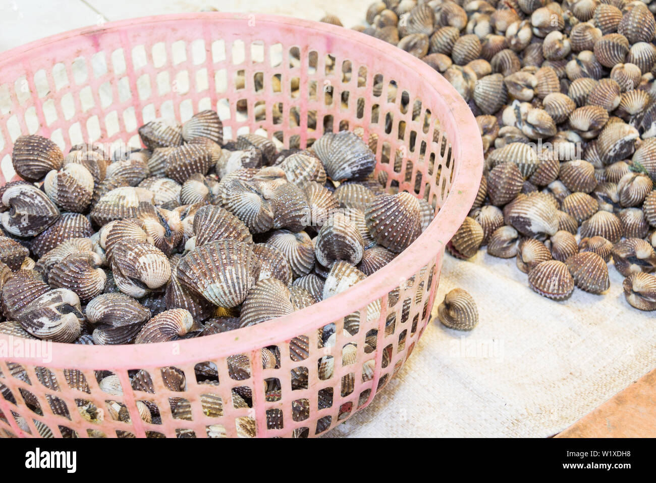 Fresh blood cockles in sea food market Stock Photo - Alamy