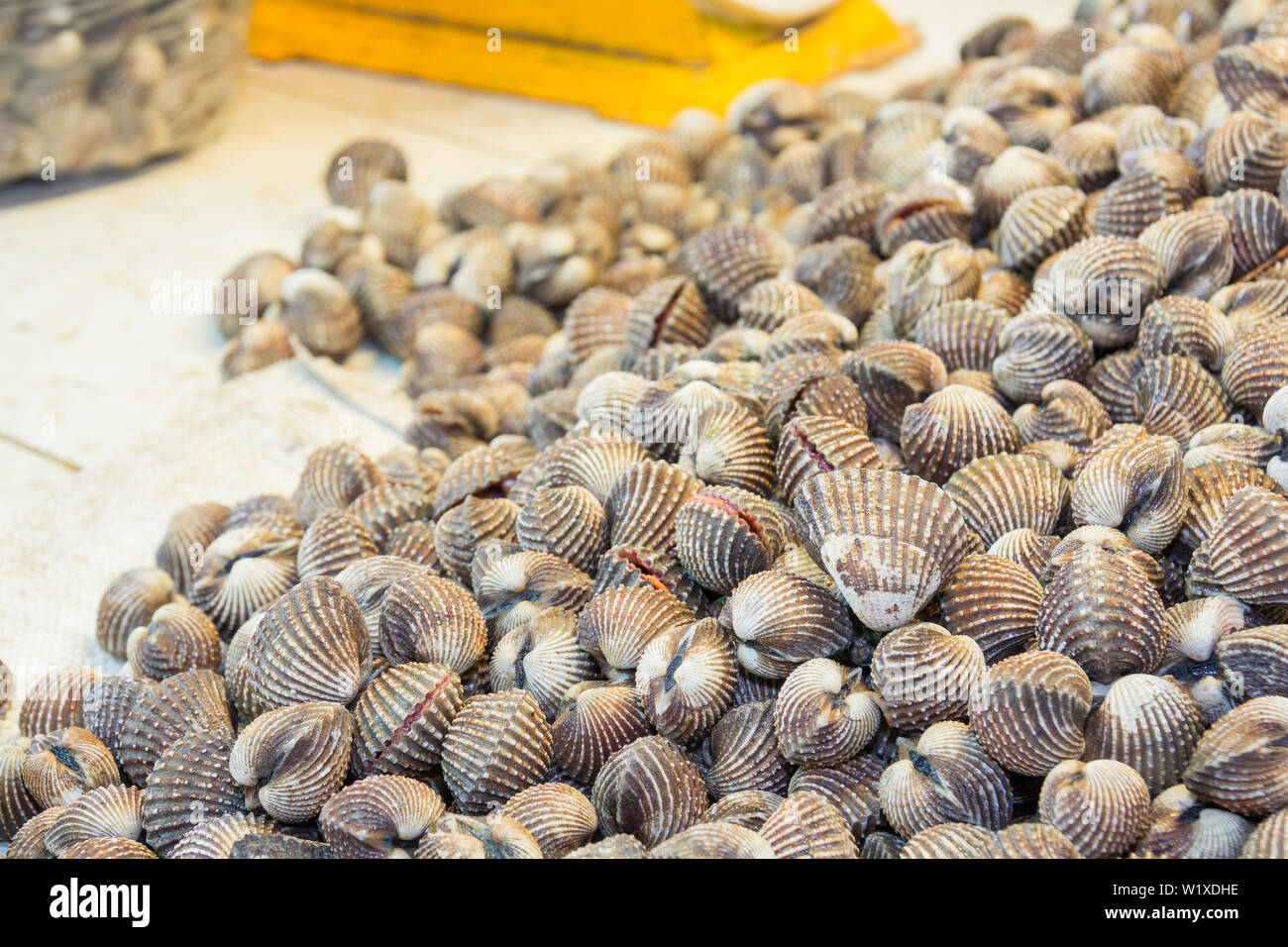 Blood cockles hi-res stock photography and images - Alamy