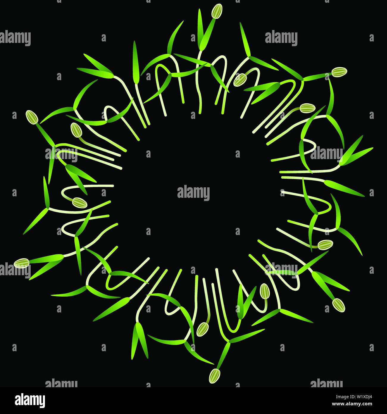 Microgreens Fennel. Arranged in a circle. Vitamin supplement, vegan ...