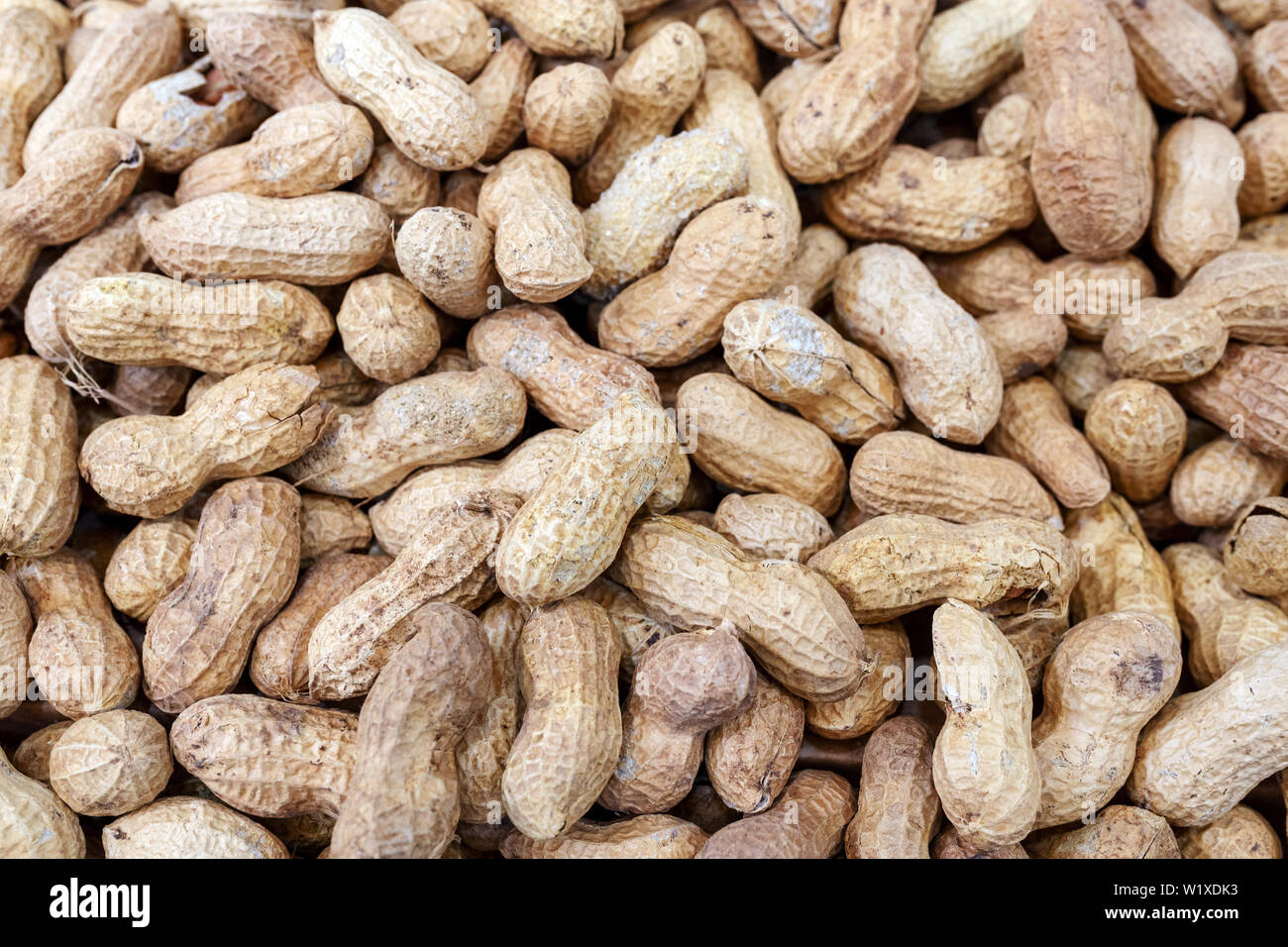 Shelling peanuts hi-res stock photography and images - Alamy