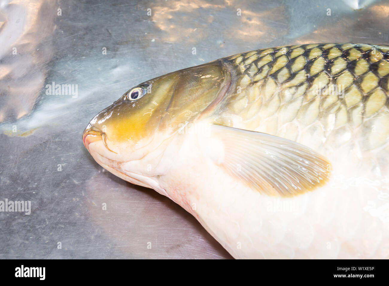 Fresh fish on a marketplace table Stock Photo - Alamy