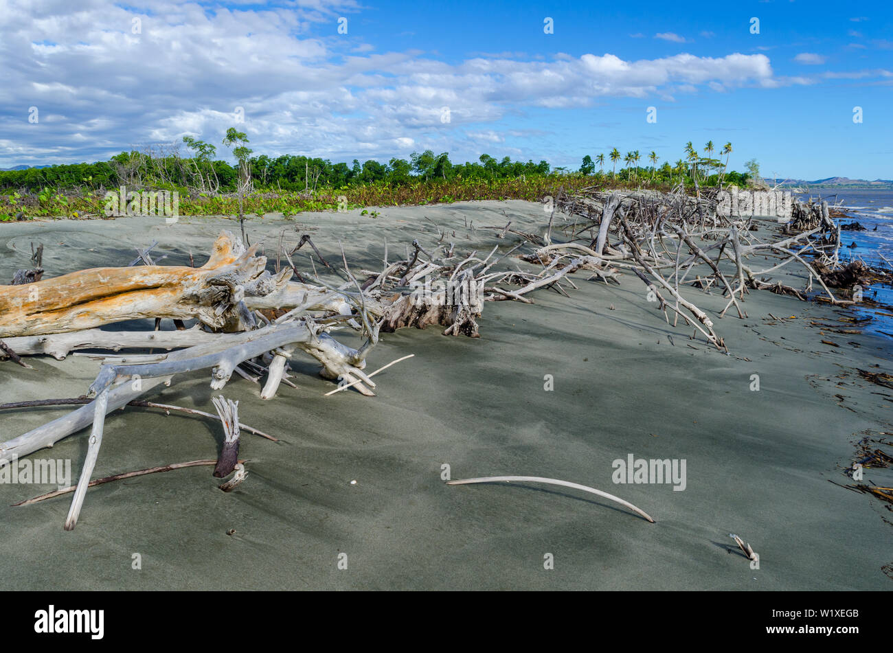 Destroyed Mangroves High Resolution Stock Photography and Images - Alamy