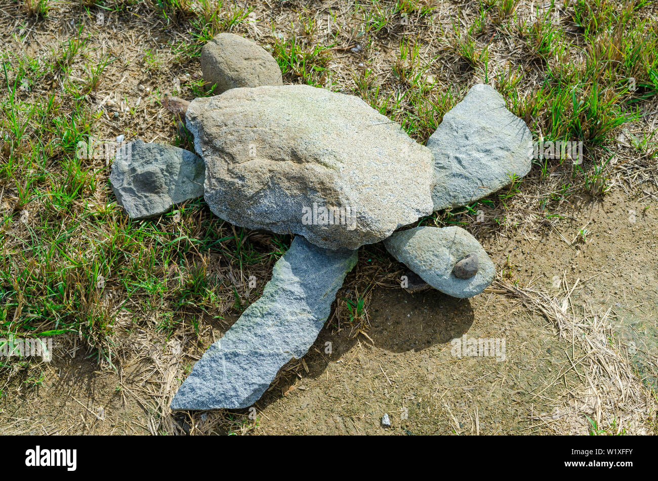 Stones turtle hi-res stock photography and images - Alamy