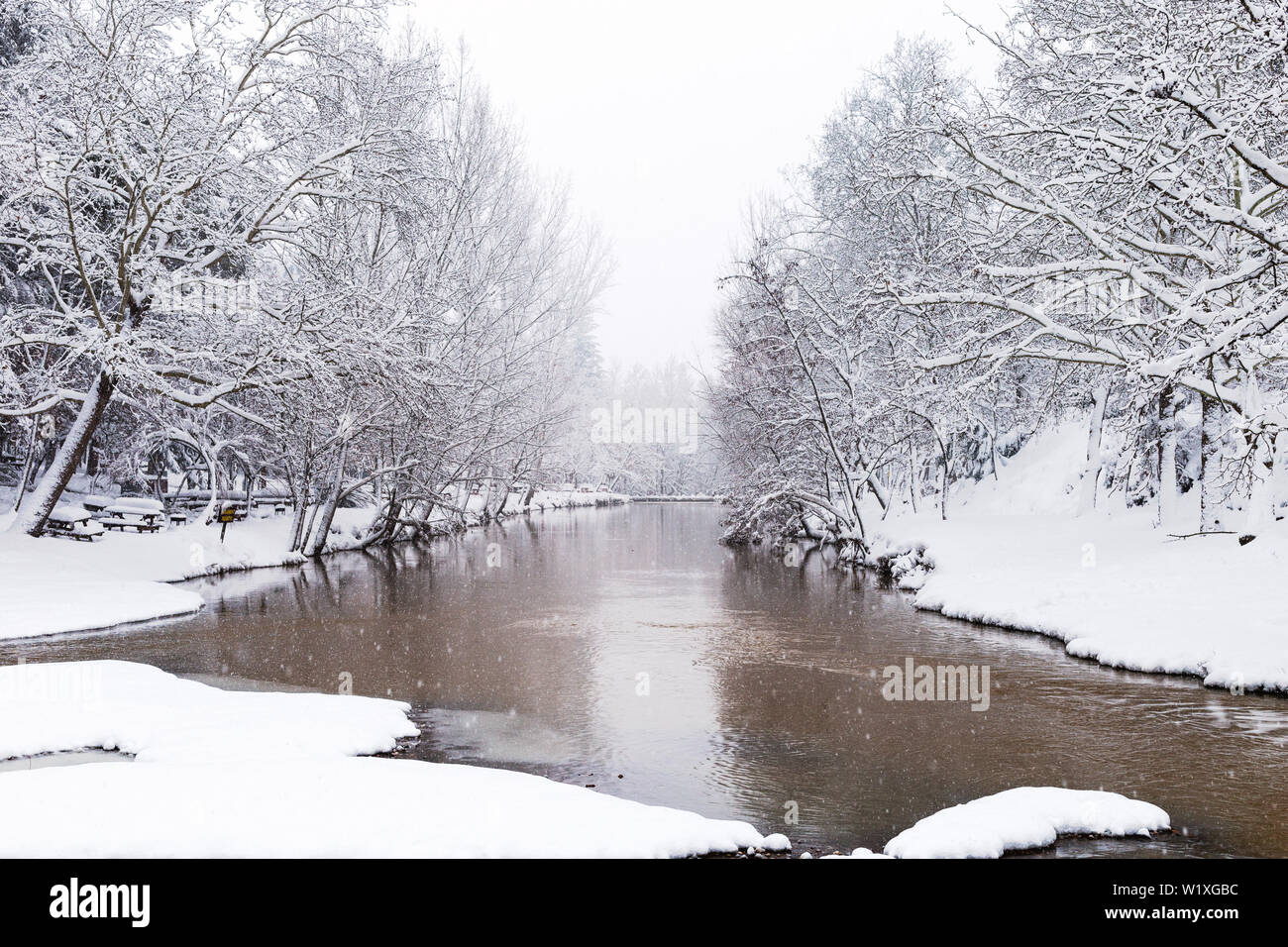 Snowy scenery with woodland hi-res stock photography and images - Alamy