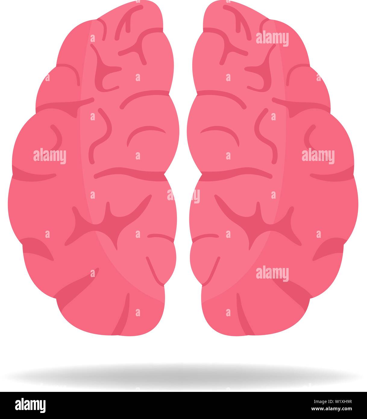 Vector Brain Icon. Mind, Intelligence Symbol. Flat Style. Vector ...