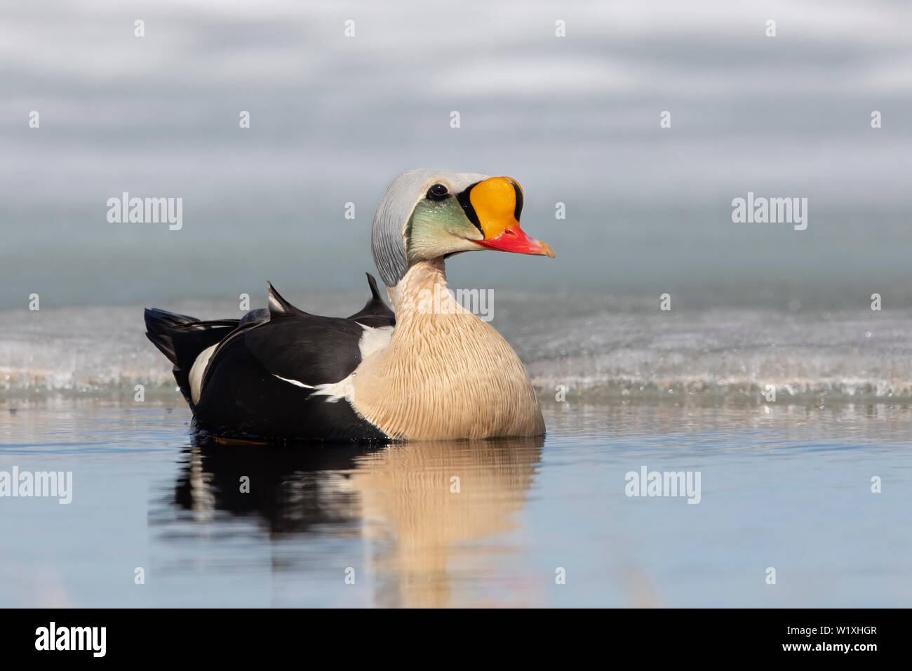 King barrow hi-res stock photography and images - Alamy