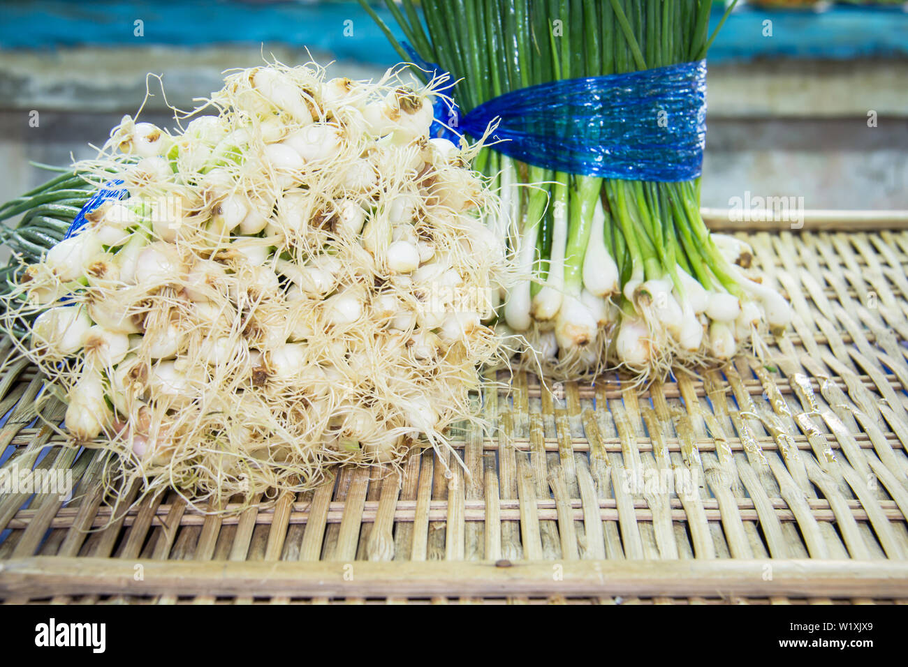 Spring green onion with chives on a marketplace Stock Photo - Alamy
