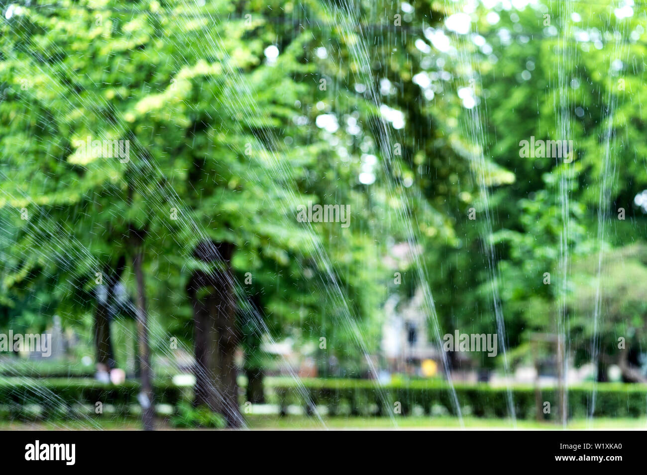 Sprinkled water hi-res stock photography and images - Alamy