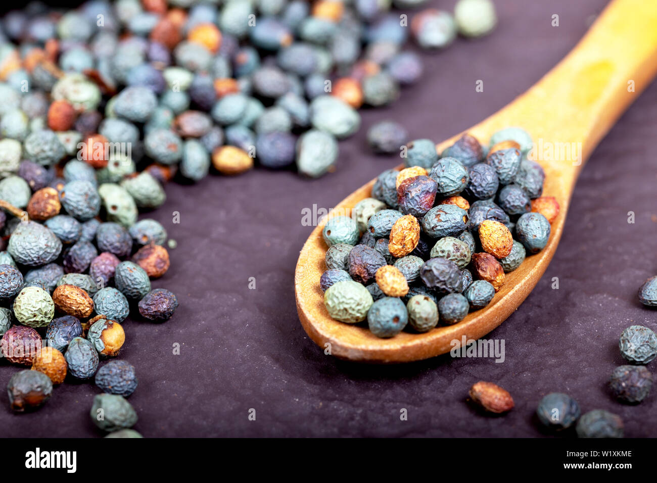 Citlembik / Northern Hackberry Seeds / Terebinth Berry / Celtis ...