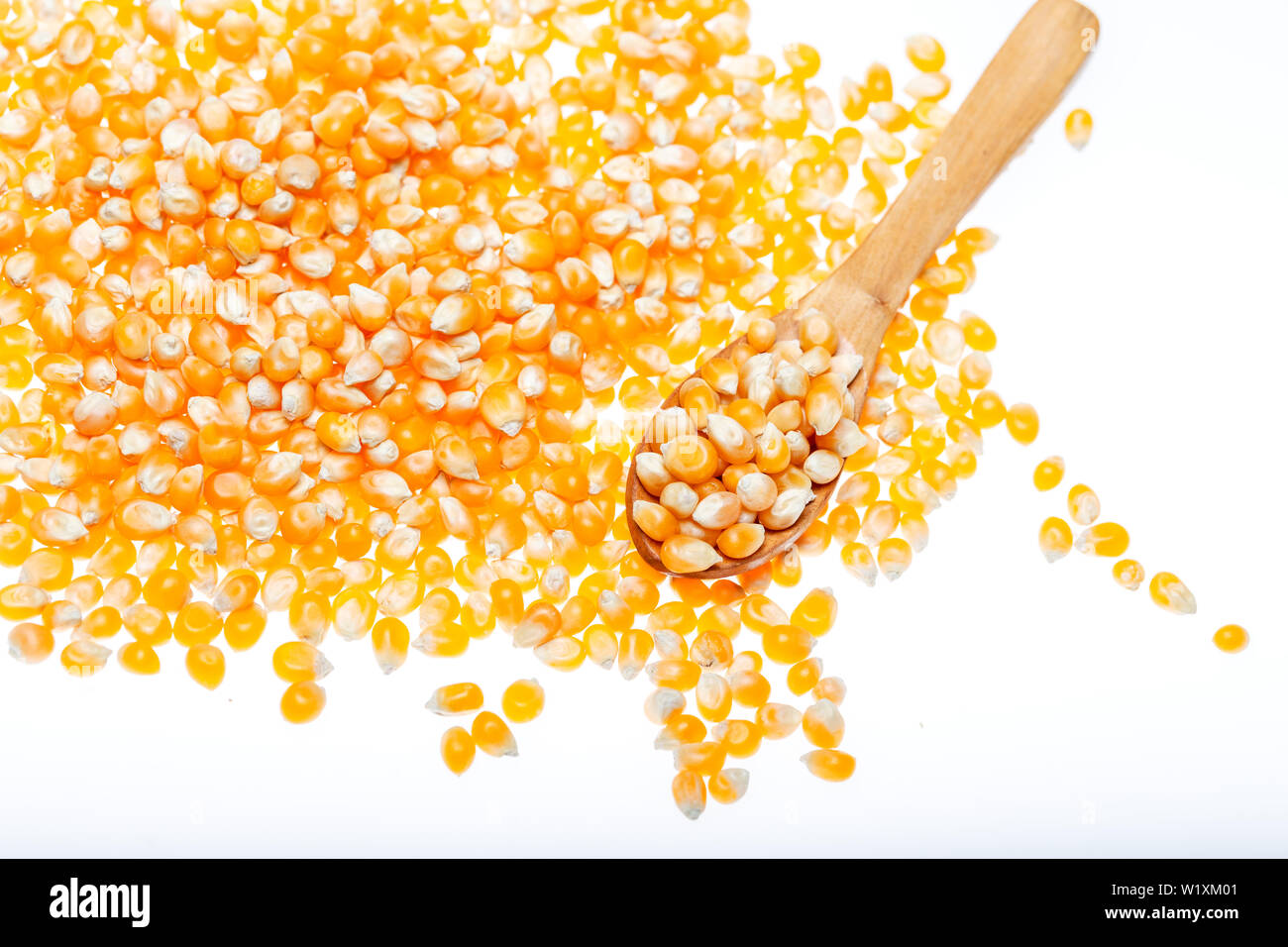 Corn seeds isolated on white background Stock Photo - Alamy