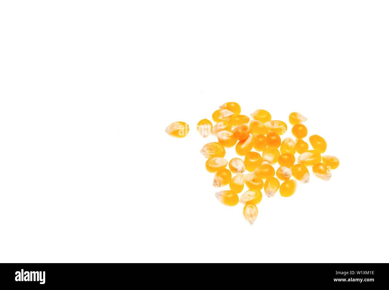 Corn seeds isolated on white background Stock Photo - Alamy