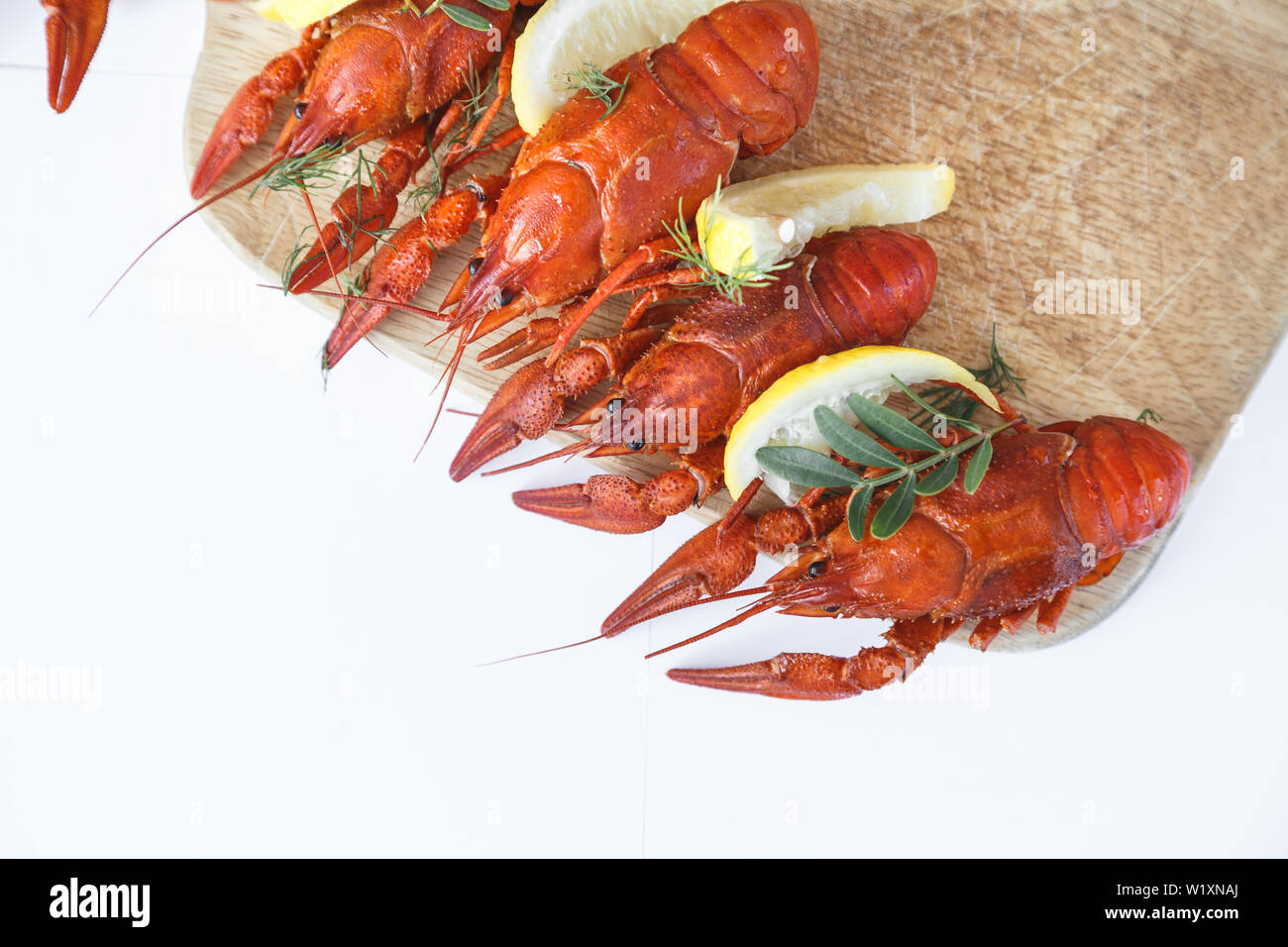 Red claw crayfish hi-res stock photography and images - Alamy