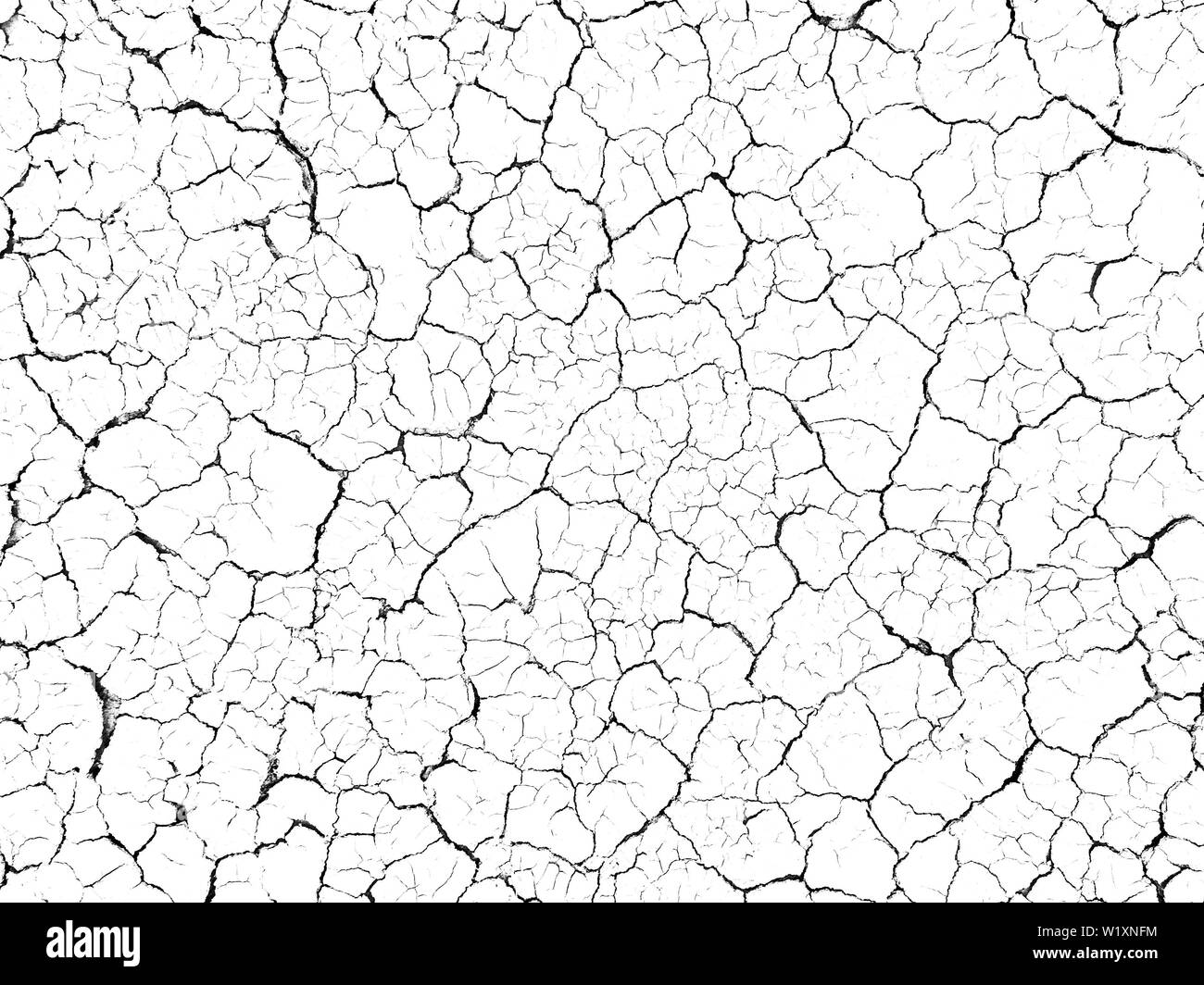 Ground Crack Texture