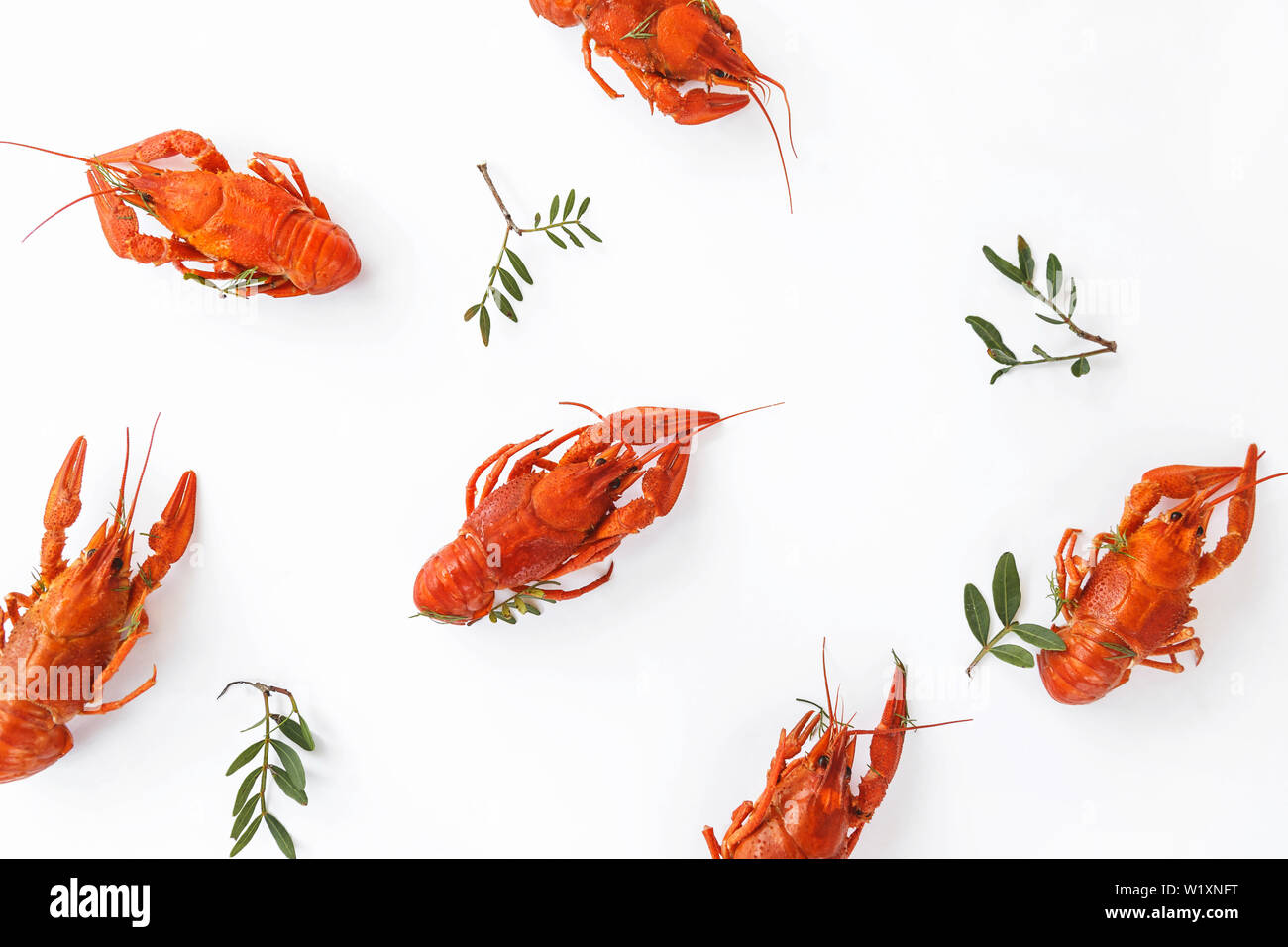 Several boiled crawfish isolated on white. top view. Flat lay Stock ...