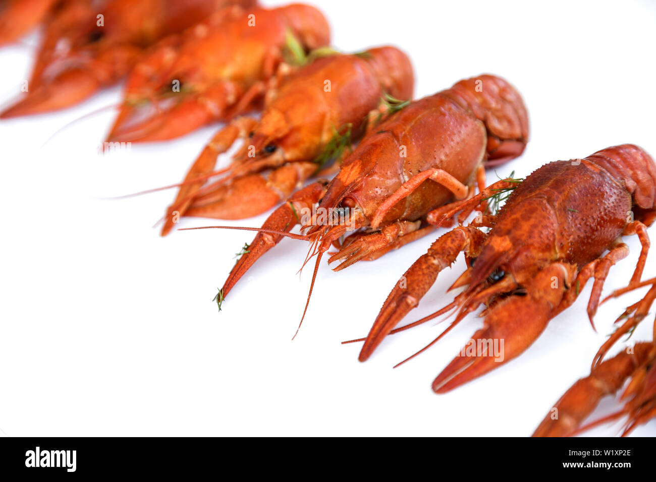 White top view hi-res stock photography and images - Alamy