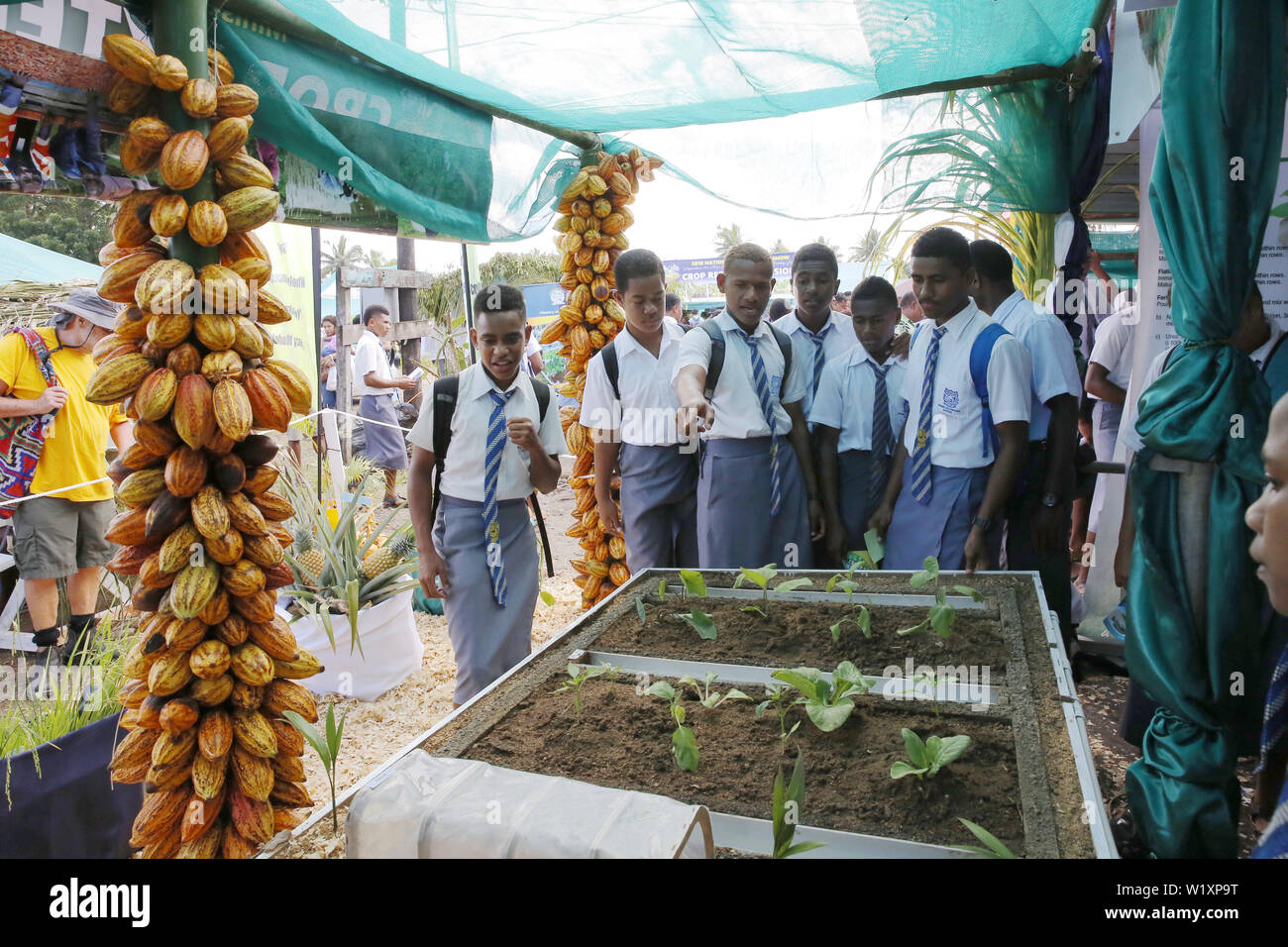 Fijian agriculture hi-res stock photography and images - Alamy