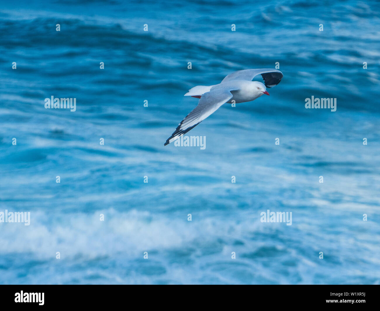 Aurbourne hi-res stock photography and images - Alamy