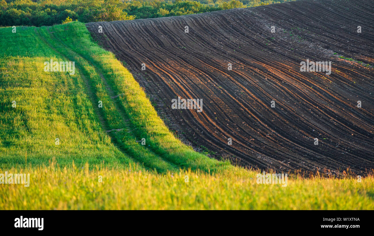 Farm land with path and wheat fields Stock Photo - Alamy