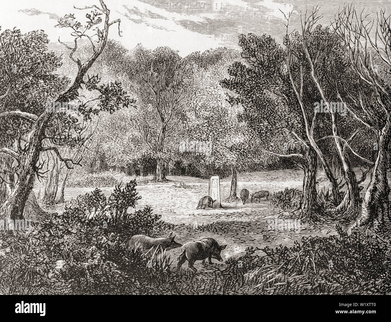 The Rufus Stone, New Forest, England, seen here in the 19th century ...