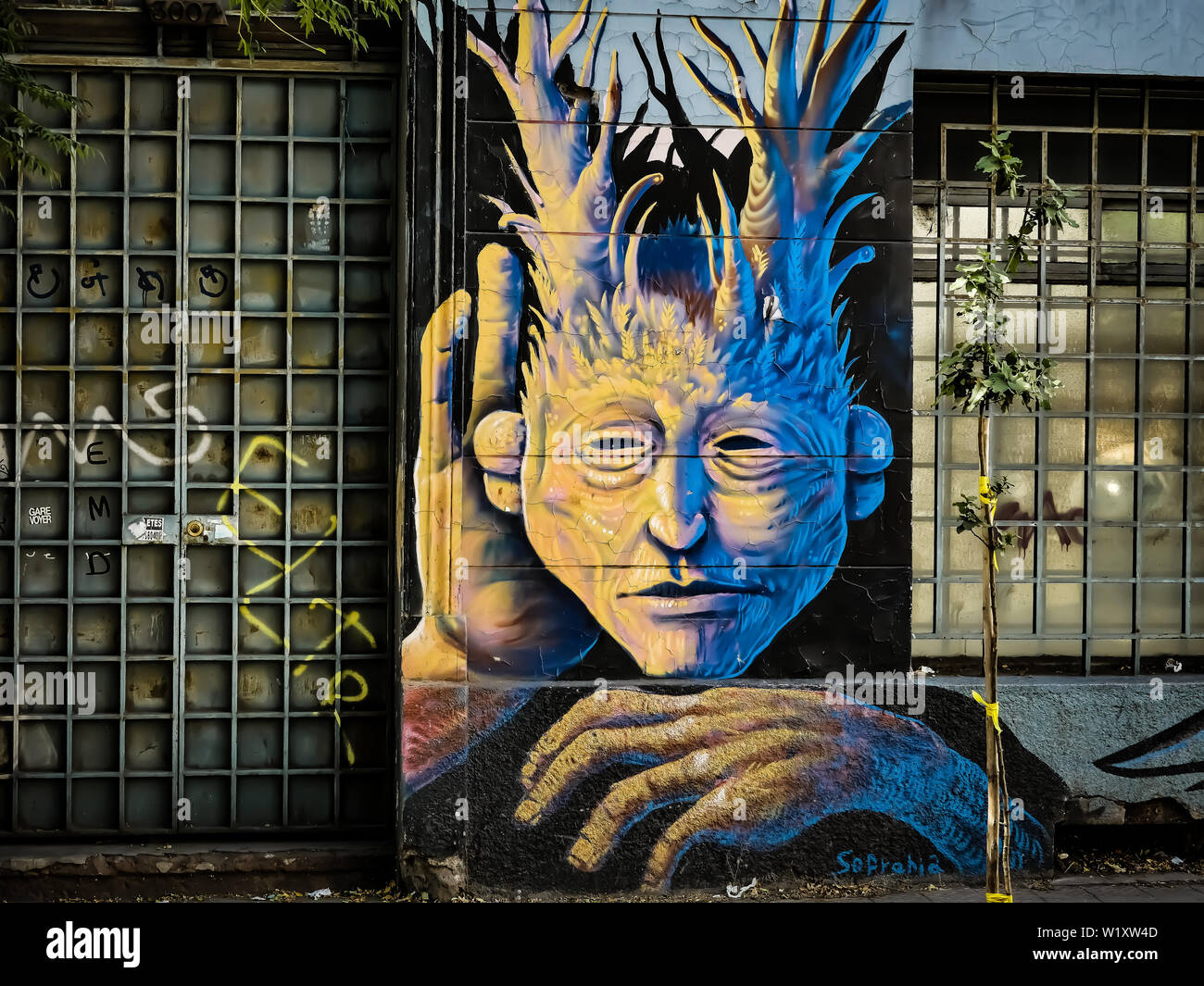 Chile Street Art tree guy valparaiso Stock Photo - Alamy