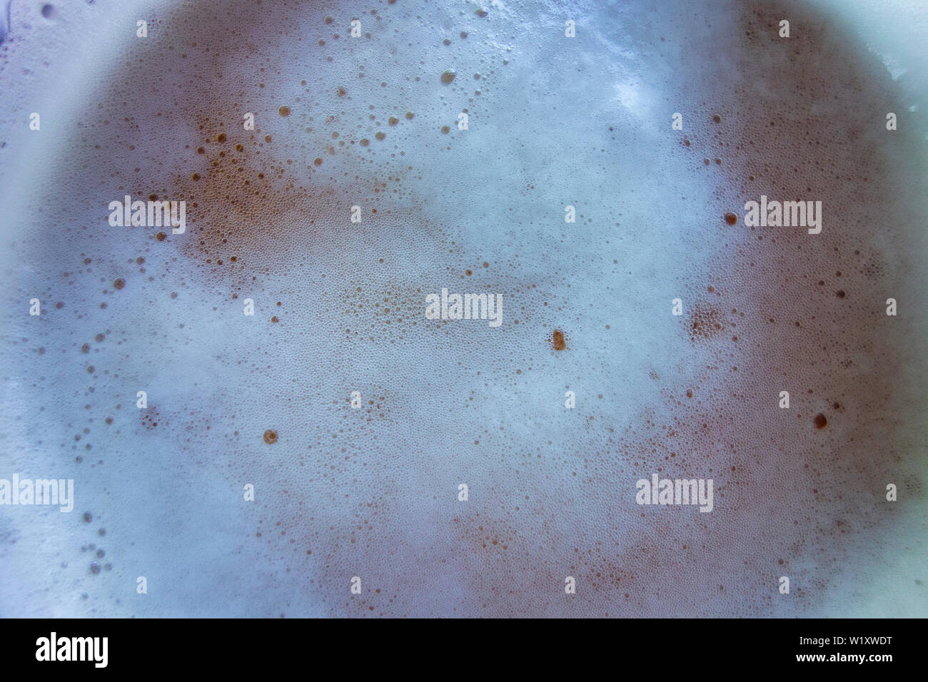 Inside cup hi-res stock photography and images - Alamy