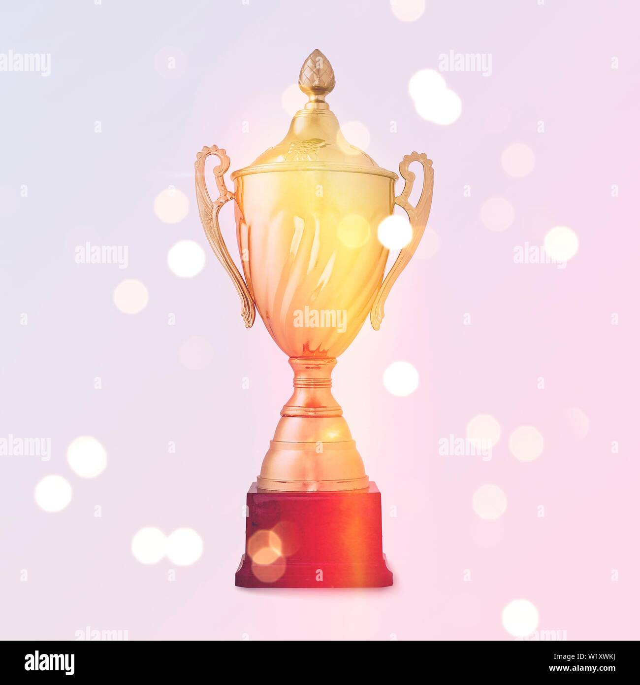 Close-up of a golden shiny cup, reward for the winner of a competition ...