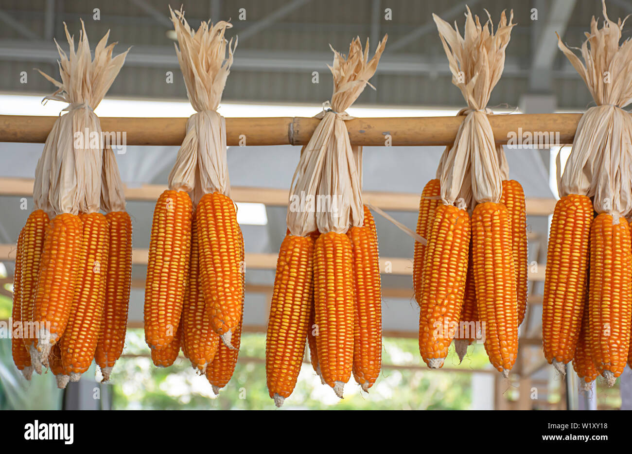 Hanging dried fruit vegetable food hi-res stock photography and images ...