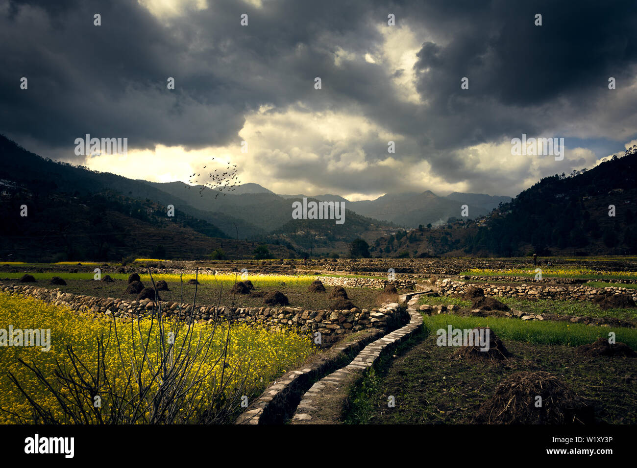 Kausani is a hill station and Village situated in Bageshwar district in ...