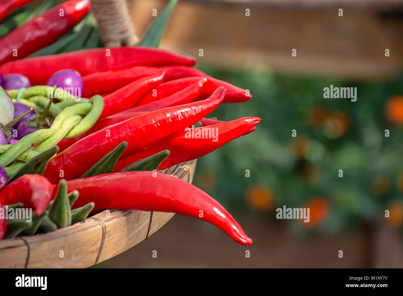 Lots of chillies hi-res stock photography and images - Alamy