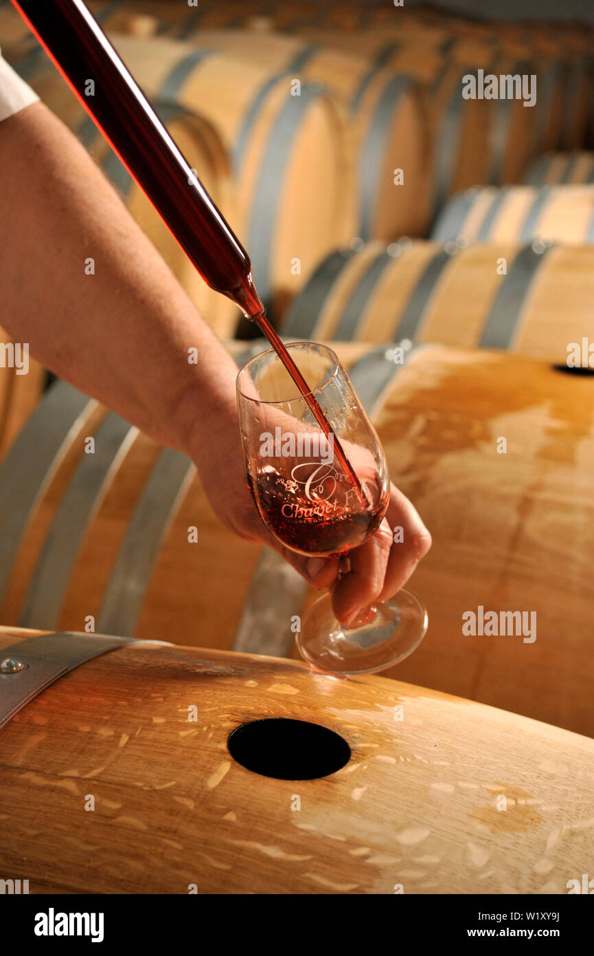 Centre val de loire oak hi-res stock photography and images - Alamy