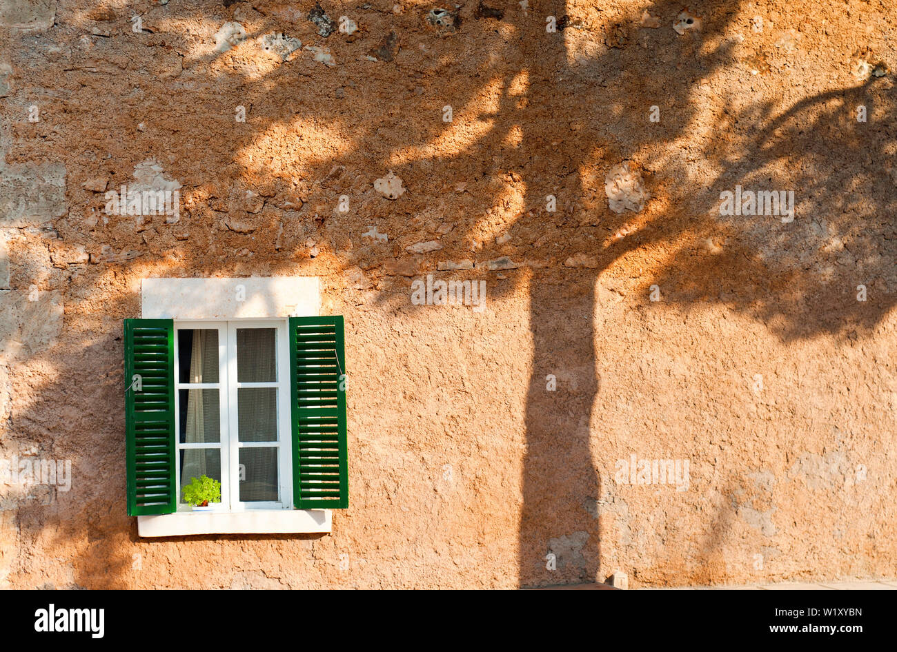 Window and tree shadow Stock Photo - Alamy