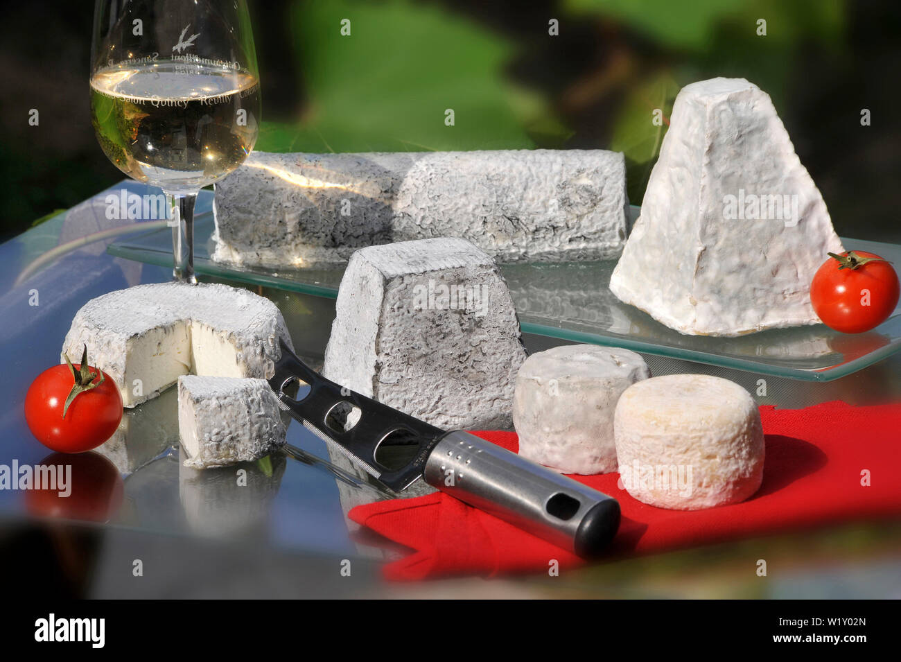 Cheese platter with goat cheese from the Centre-Val de Loire region ...